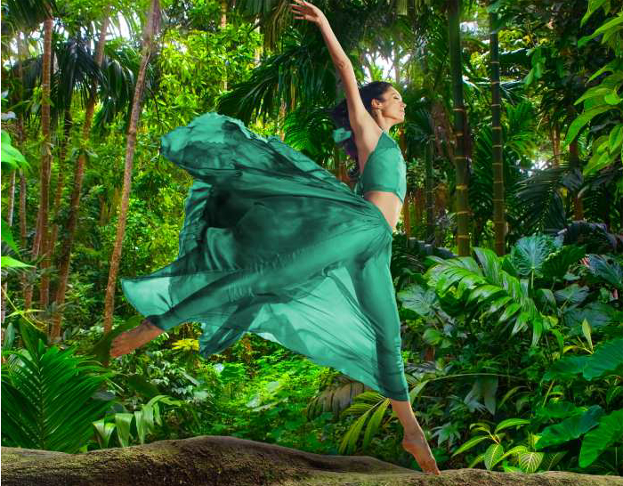 Livaeco's Journey from Forest to Fashion | Liva By Birla Cellulose